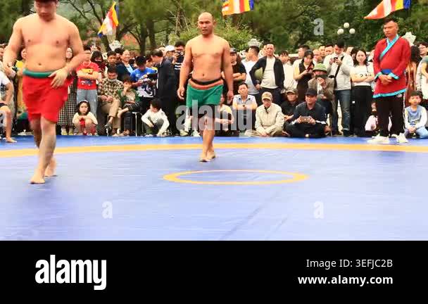 The traditional wrestling festival of Con Son - Kiet Bac. Wrestlers ...