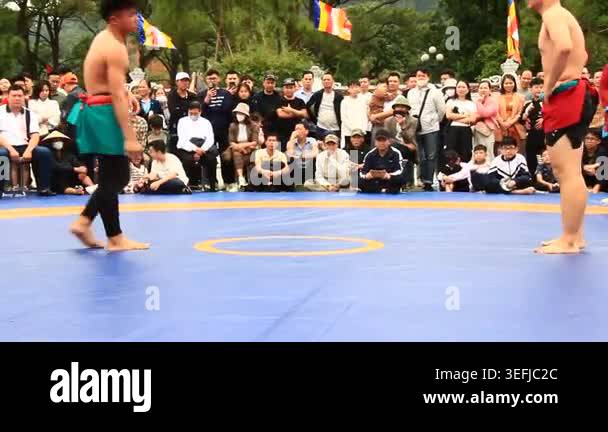 The traditional wrestling festival of Con Son - Kiet Bac. Wrestlers ...