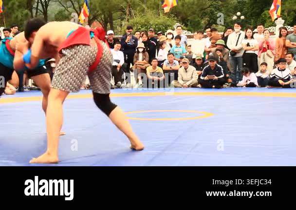 The traditional wrestling festival of Con Son - Kiet Bac. Wrestlers ...