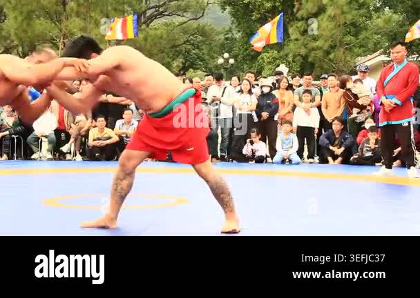 The traditional wrestling festival of Con Son - Kiet Bac. Wrestlers ...