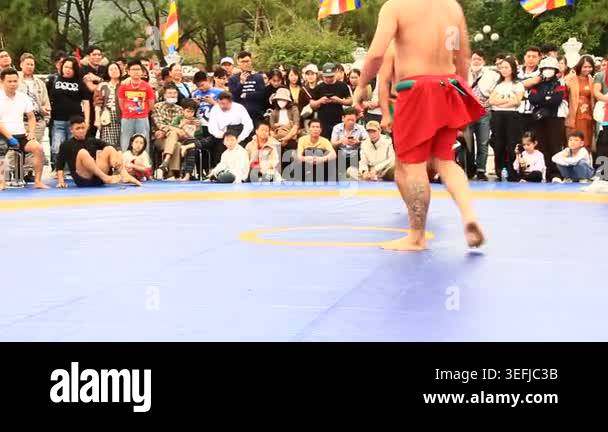 The traditional wrestling festival of Con Son - Kiet Bac. Wrestlers ...