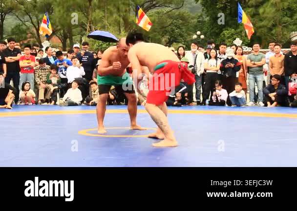 The traditional wrestling festival of Con Son - Kiet Bac. Wrestlers ...