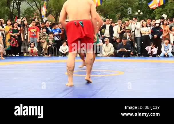 The traditional wrestling festival of Con Son - Kiet Bac. Wrestlers ...