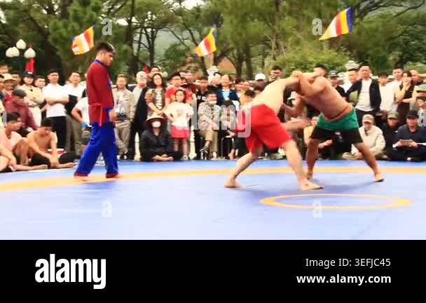 The traditional wrestling festival of Con Son - Kiet Bac. Wrestlers ...