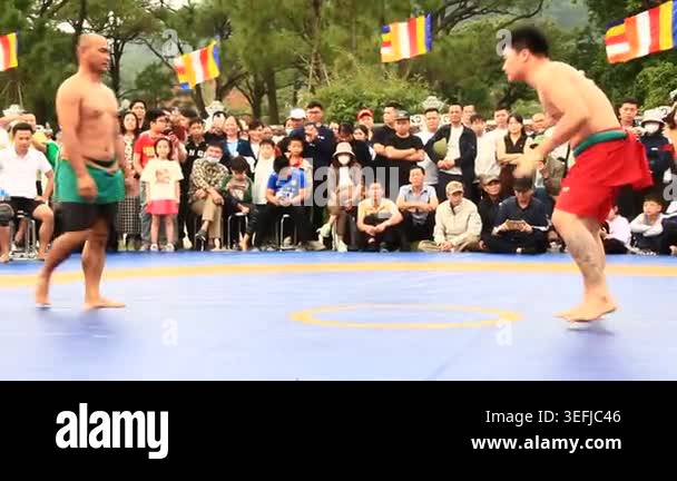 The traditional wrestling festival of Con Son - Kiet Bac. Wrestlers ...