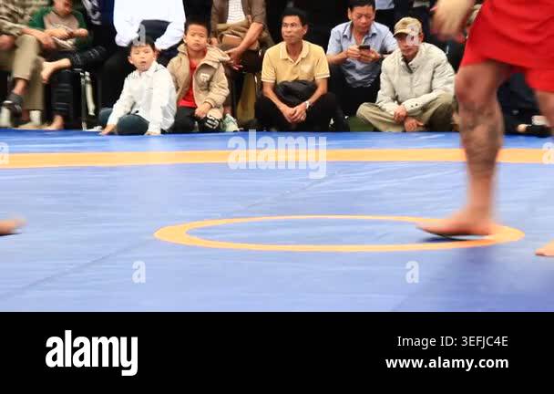 The traditional wrestling festival of Con Son - Kiet Bac. Wrestlers ...