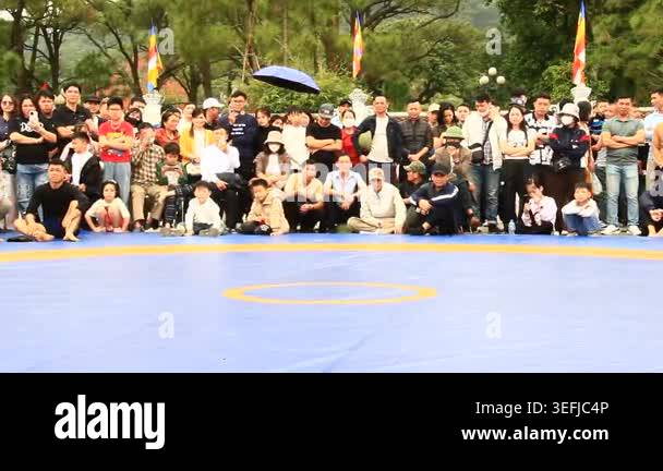 The traditional wrestling festival of Con Son - Kiet Bac. Wrestlers ...