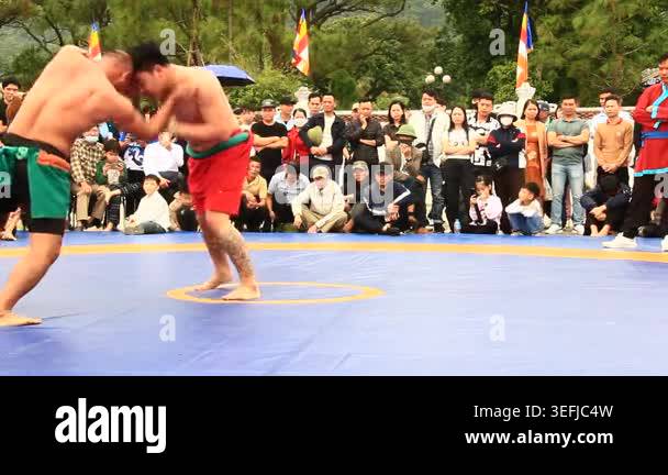 The traditional wrestling festival of Con Son - Kiet Bac. Wrestlers ...