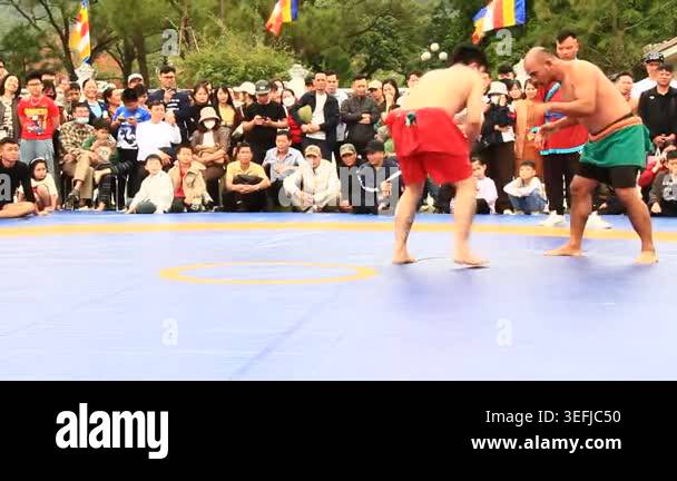 The traditional wrestling festival of Con Son - Kiet Bac. Wrestlers ...