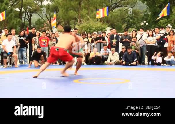 The traditional wrestling festival of Con Son - Kiet Bac. Wrestlers ...