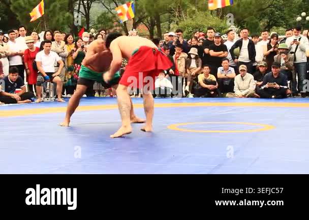 The traditional wrestling festival of Con Son - Kiet Bac. Wrestlers ...