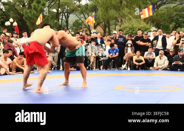 The traditional wrestling festival of Con Son - Kiet Bac. Wrestlers ...