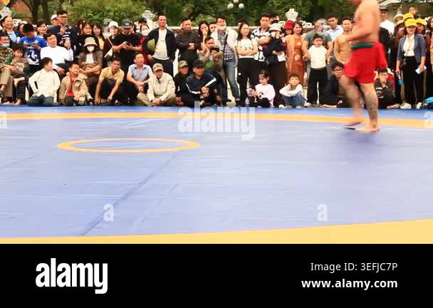 The traditional wrestling festival of Con Son - Kiet Bac. Wrestlers ...