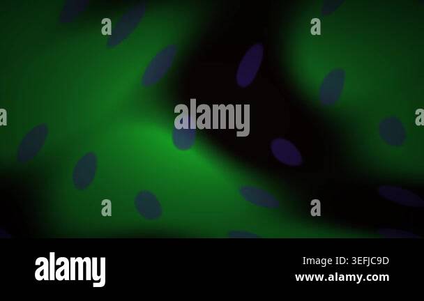 A close-up, abstract view of cells illuminated with green fluorescent ...