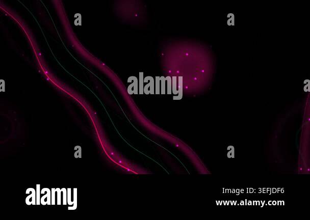 Abstract background animation featuring glowing pink neon waves and ...