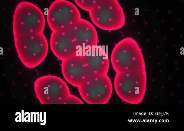 Scientific animation showing abstract cellular structures dividing and ...