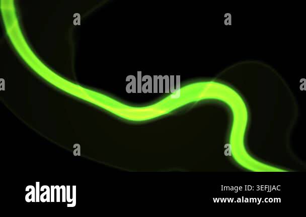 Abstract animation featuring smooth glowing green neon waves flowing ...