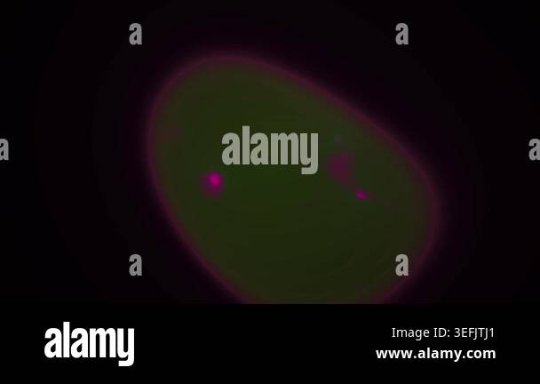 Close-up of cell with purple spots Stock Video Footage - Alamy