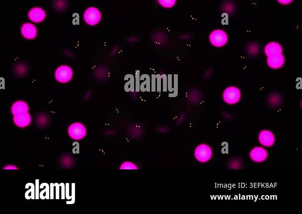 Animated pink dots on black background Stock Video Footage - Alamy