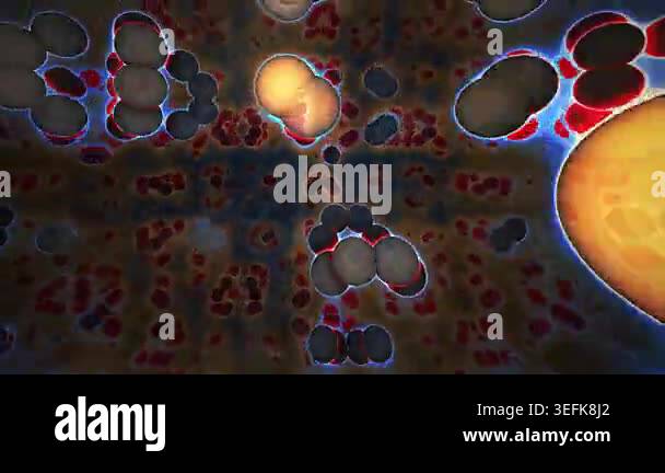 Glowing cells under microscope examination Stock Video Footage - Alamy