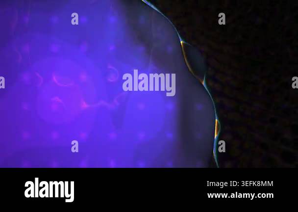 Dynamic motion graphics featuring smooth transitions of glowing light ...