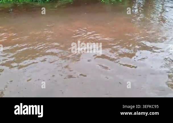 Wide angle view of the surface of a flood with circular ripples from ...