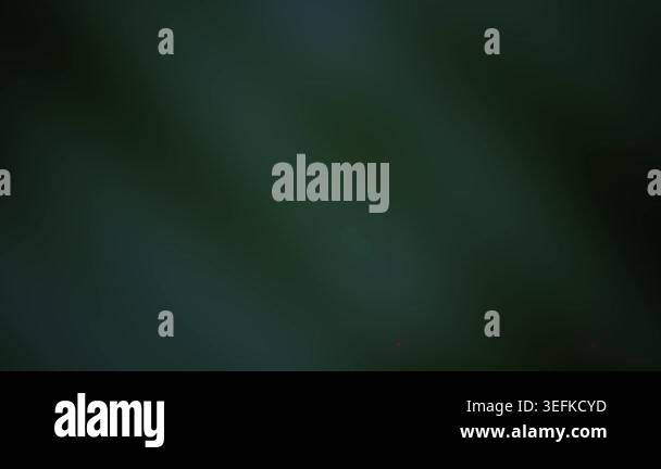 A dark green abstract background featuring subtle textures and soft ...