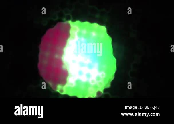 Microscopic view of cell division Stock Video Footage - Alamy