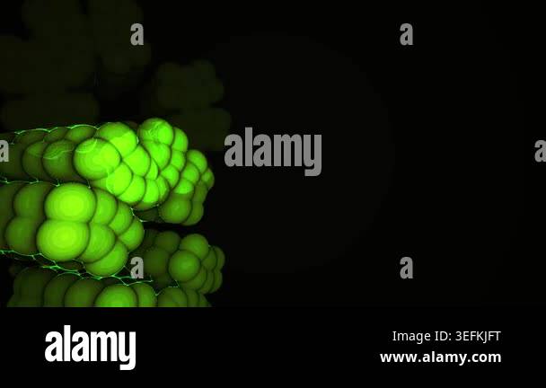 Closeup of fluorescent cells under microscope Stock Video Footage - Alamy