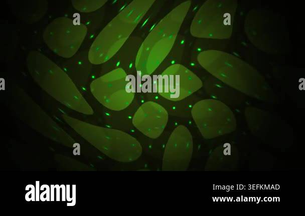 Abstract animation of green laser beams forming shifting geometric ...