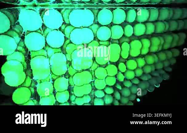 An abstract visualizer with glowing green and cyan geometric shapes ...