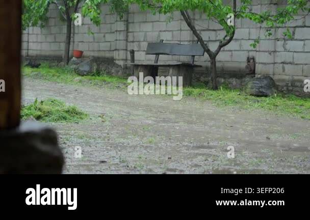 Heavy rain falling in rustic backyard with wooden bench, trees and ...