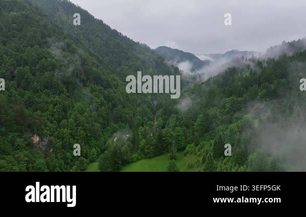 Drone footage over Slovenia Alps mountain forest . with fog and low ...