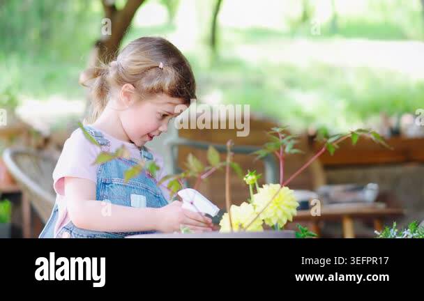 Focused little girl spraying water on plants with a spray bottle on a ...