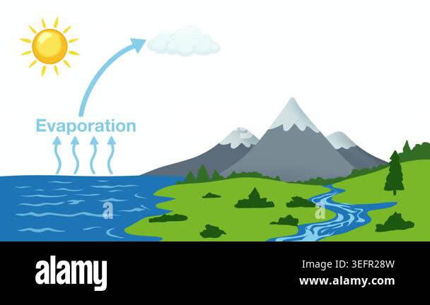 animation of the water cycle diagram, Features evaporation ...