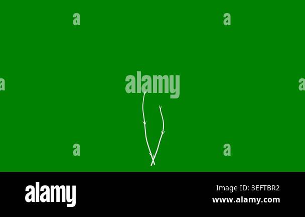 a simple graphic illustration with a white background with green leaves ...
