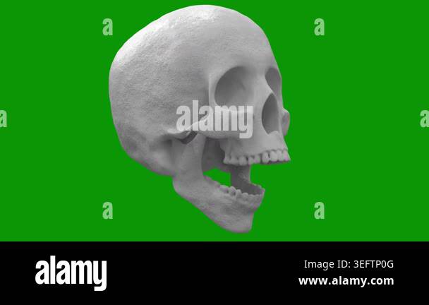 skull isolated in green background Stock Video Footage - Alamy
