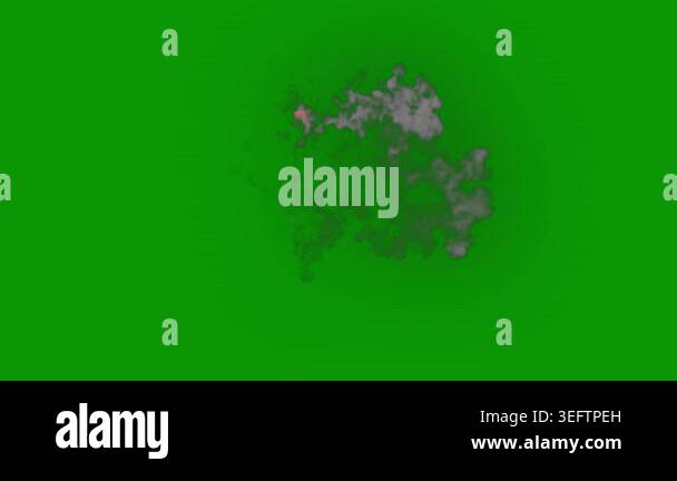 green leaf pattern, natural abstract background Stock Video Footage - Alamy