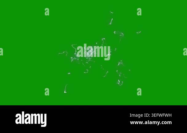 light green vector background with straight lines. shining colored ...