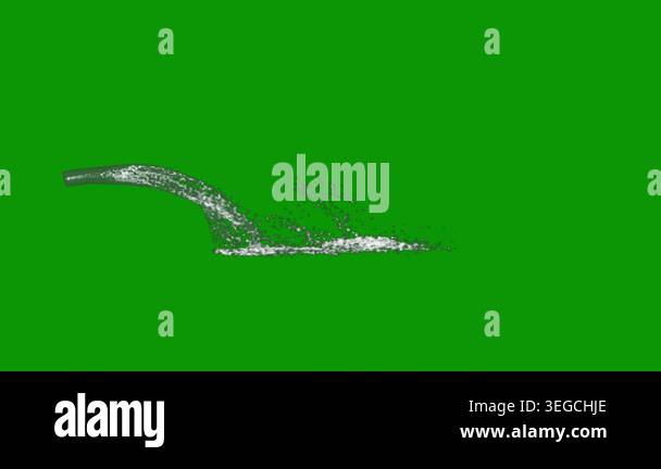 flying bird on green background. 3 d rendering Stock Video Footage - Alamy