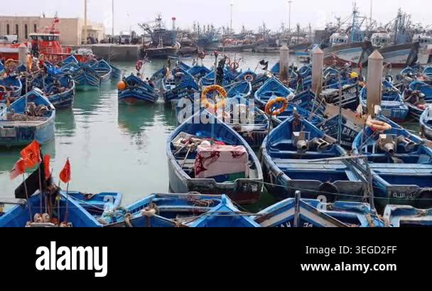 ESSAOUIRA, MOROCCO - April 20, 2026: Blue painted boats in the port of ...