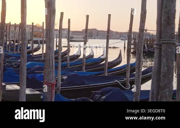 Gondolas floating on calm Venetian water during soft morning light ...