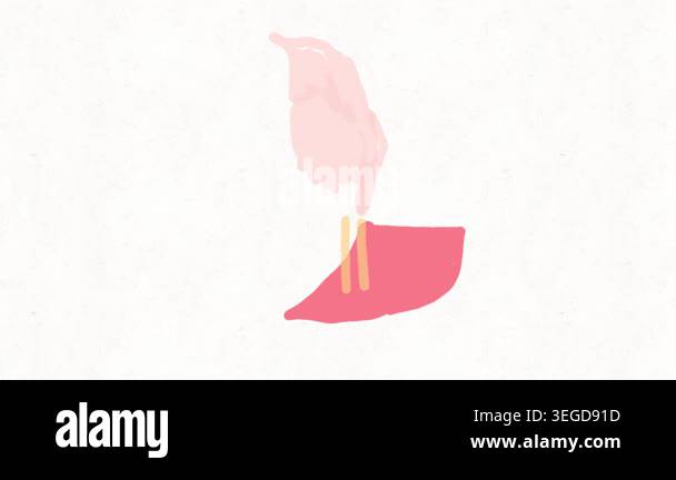 Pastel Color Birds Abstract Art Stock Video Footage - Alamy
