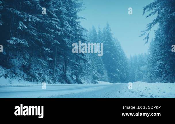 Forest Road In Snowfall Winter Scene Stock Video Footage - Alamy
