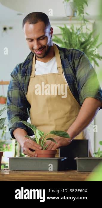 Portrait of successful African male florist replanting flowers in ...