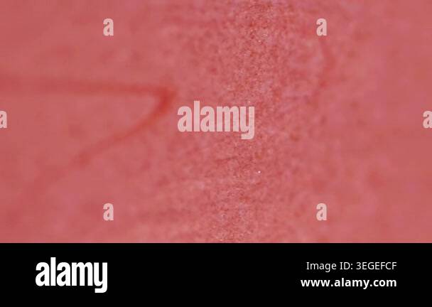 Vertical video. Paint grain. Drip fluid. Defocused pink color chemical ...