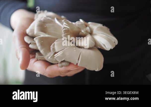 A person shapes clay in hands to form different designs and objects ...