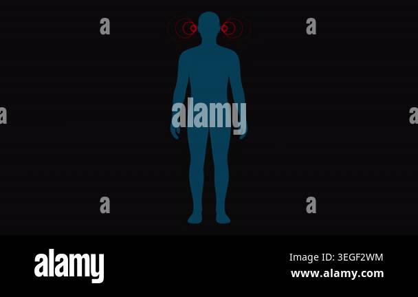 Set of 2 medical animations featuring human body silhouette with ...