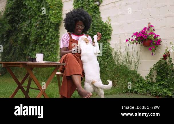 Lovely african american woman smiling while giving a treat to her ...