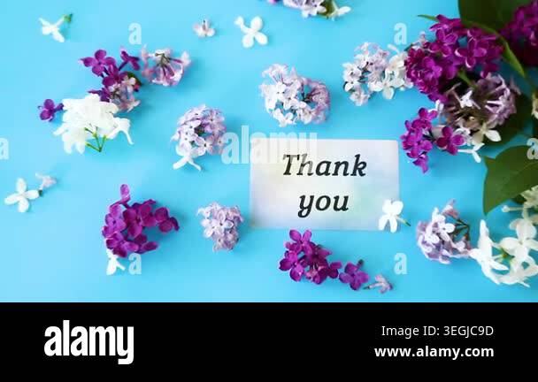 Spring floral thank you composition on pastel blue backdrop Stock Video ...